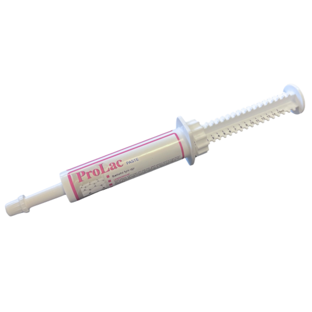 Prolac Paste – Dýralíf